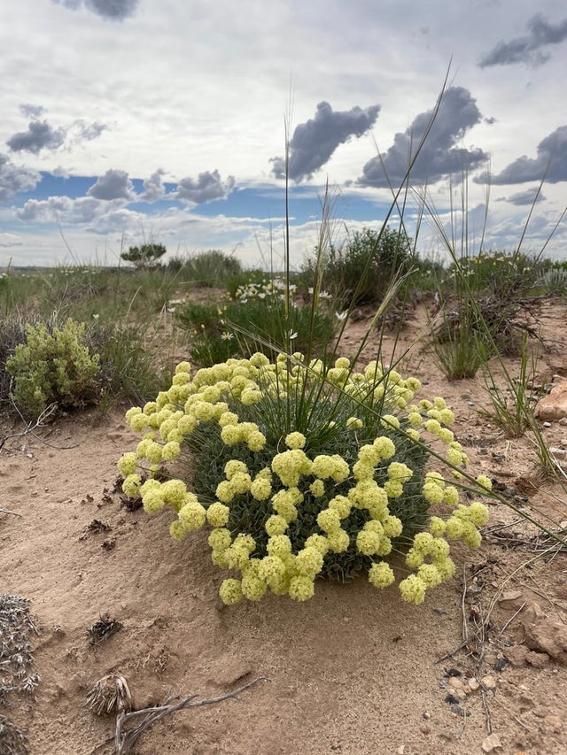 XERIC | High Plains Environmental Center